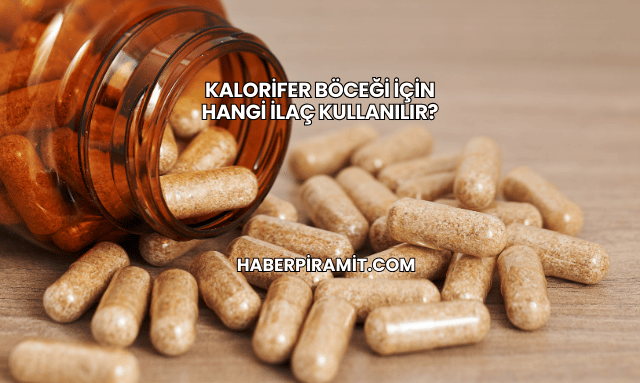 Kalorifer Böceği İçin Hangi İlaç Kullanılır? - Haber Piramit